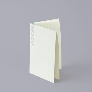 Custom Cross Fold Booklet for Tarot Size